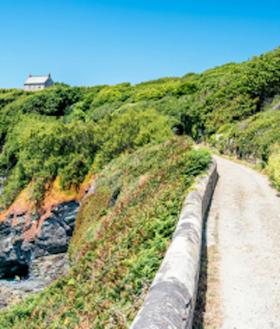 All Projects | Let's Talk Cornwall